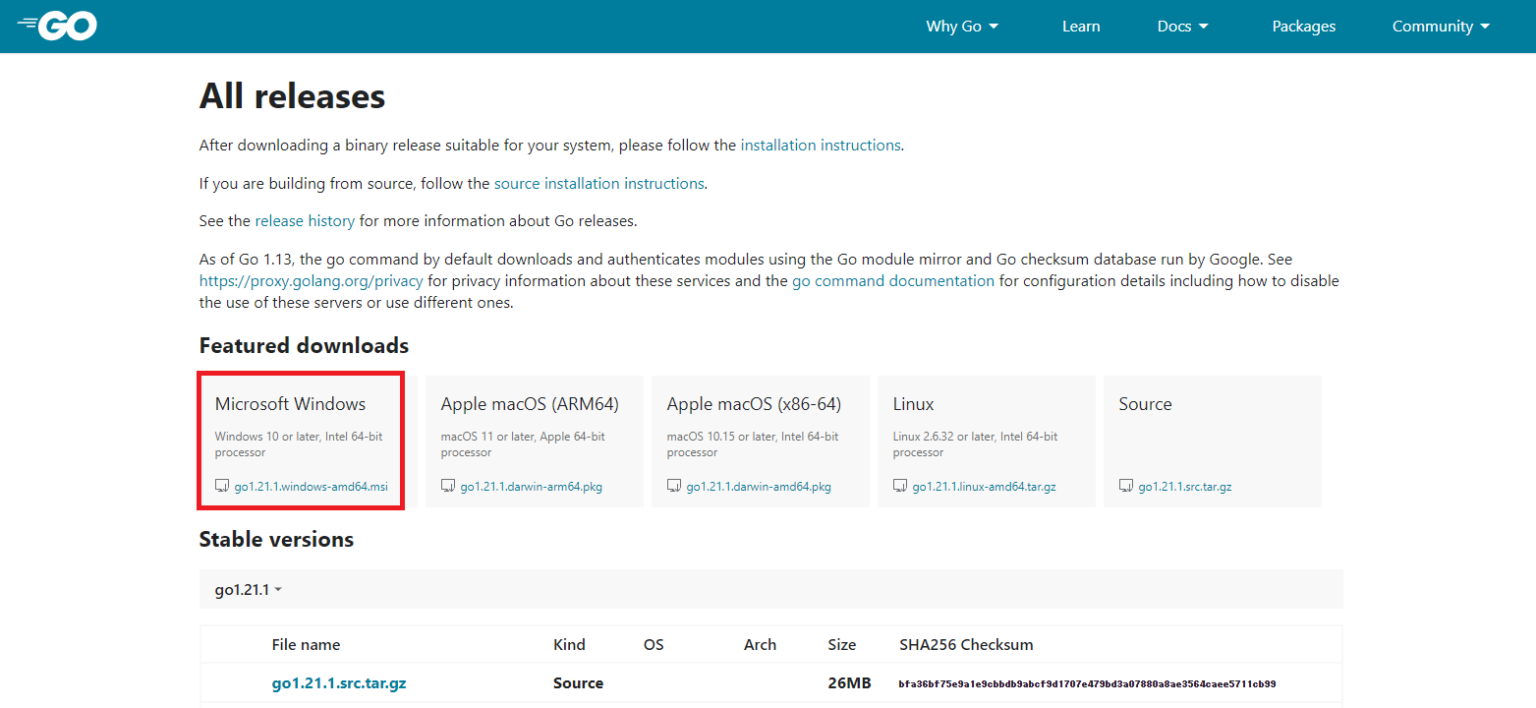 【Go言語】開発環境構築について現役エンジニアが解説 【Remoters】
